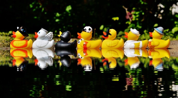 Scholarship Spotlight: The Chick and Sophie Major Memorial Duck Calling ...